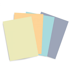 RAL E6 EFFECT UNI-kleuren SERIE 100 | RAL-SHOP.NL